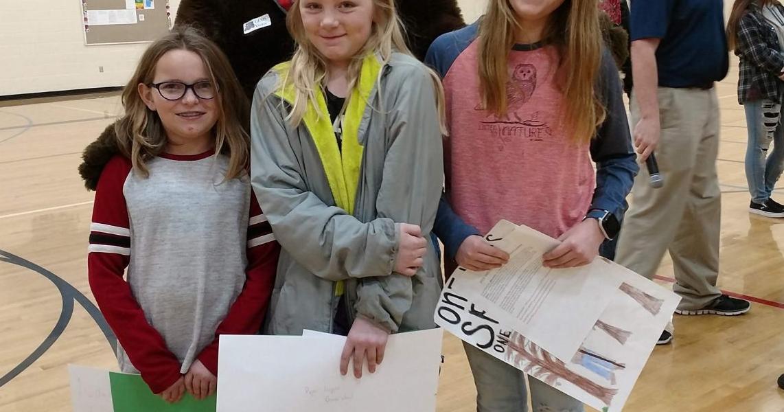 2019 USFS Fire Prevention billboard contest winners announced ...