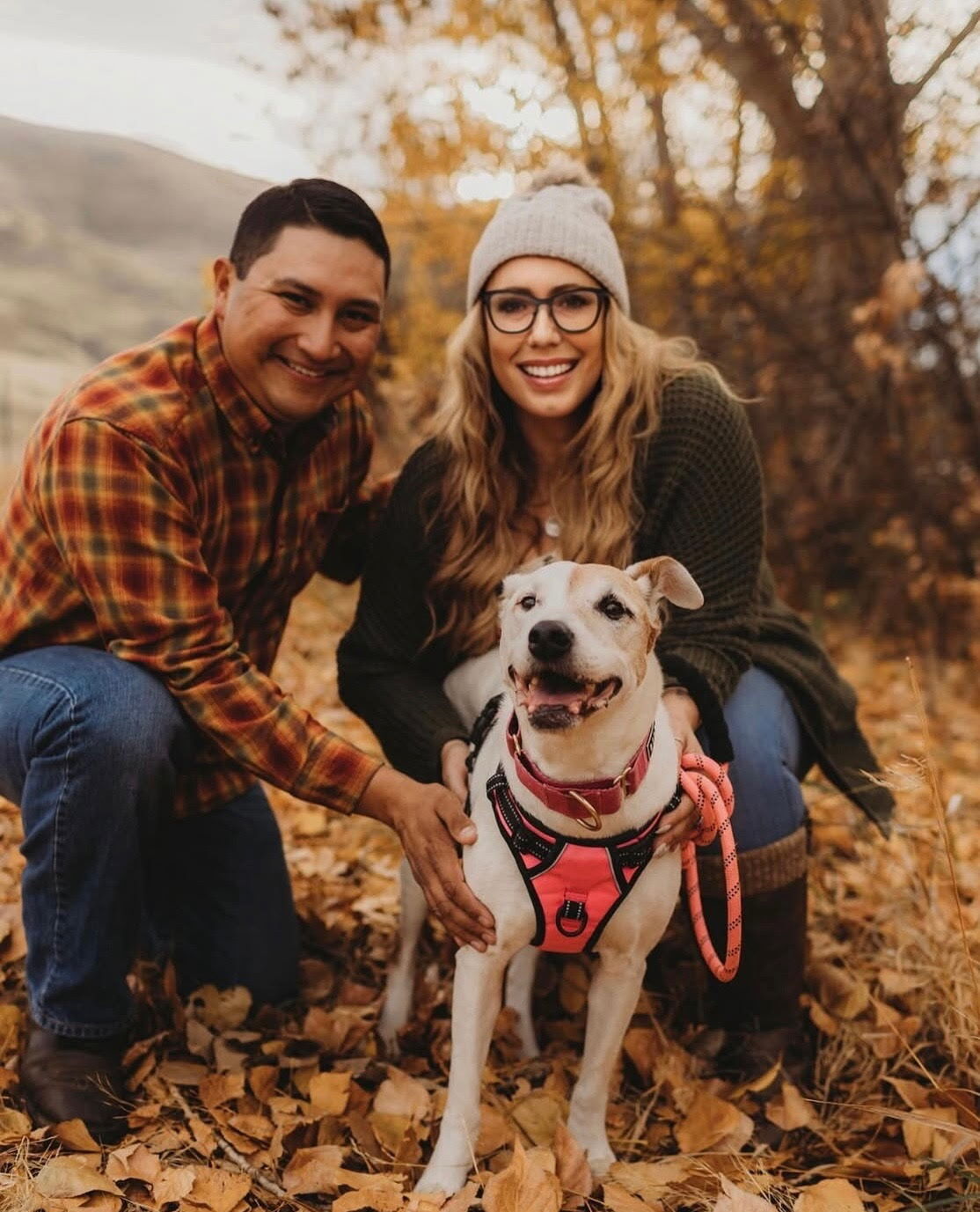 Animal shelter in Kamiah; Man’s best friend has a friend | News ...