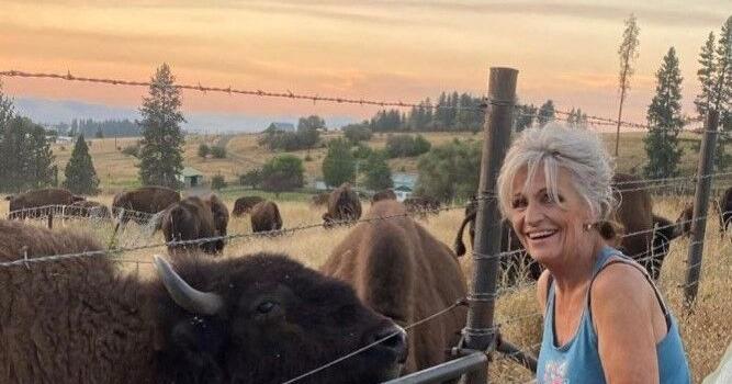 Double L Bison Ranch, Clearwater - ‘Keeping the ranch in the family’ to ...