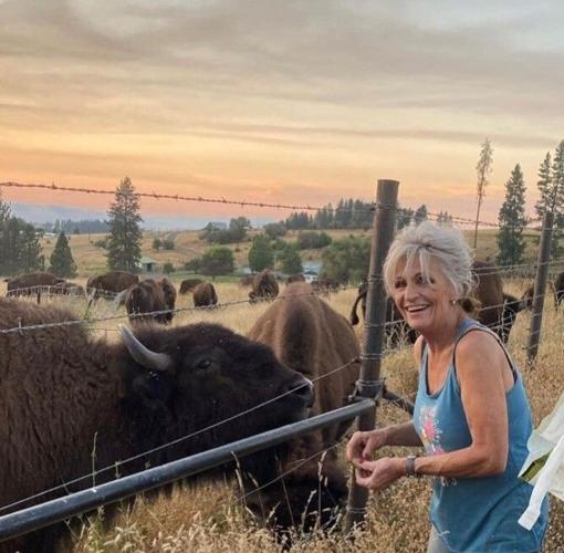 Double L Bison Ranch, Clearwater - ‘Keeping the ranch in the family’ to ...