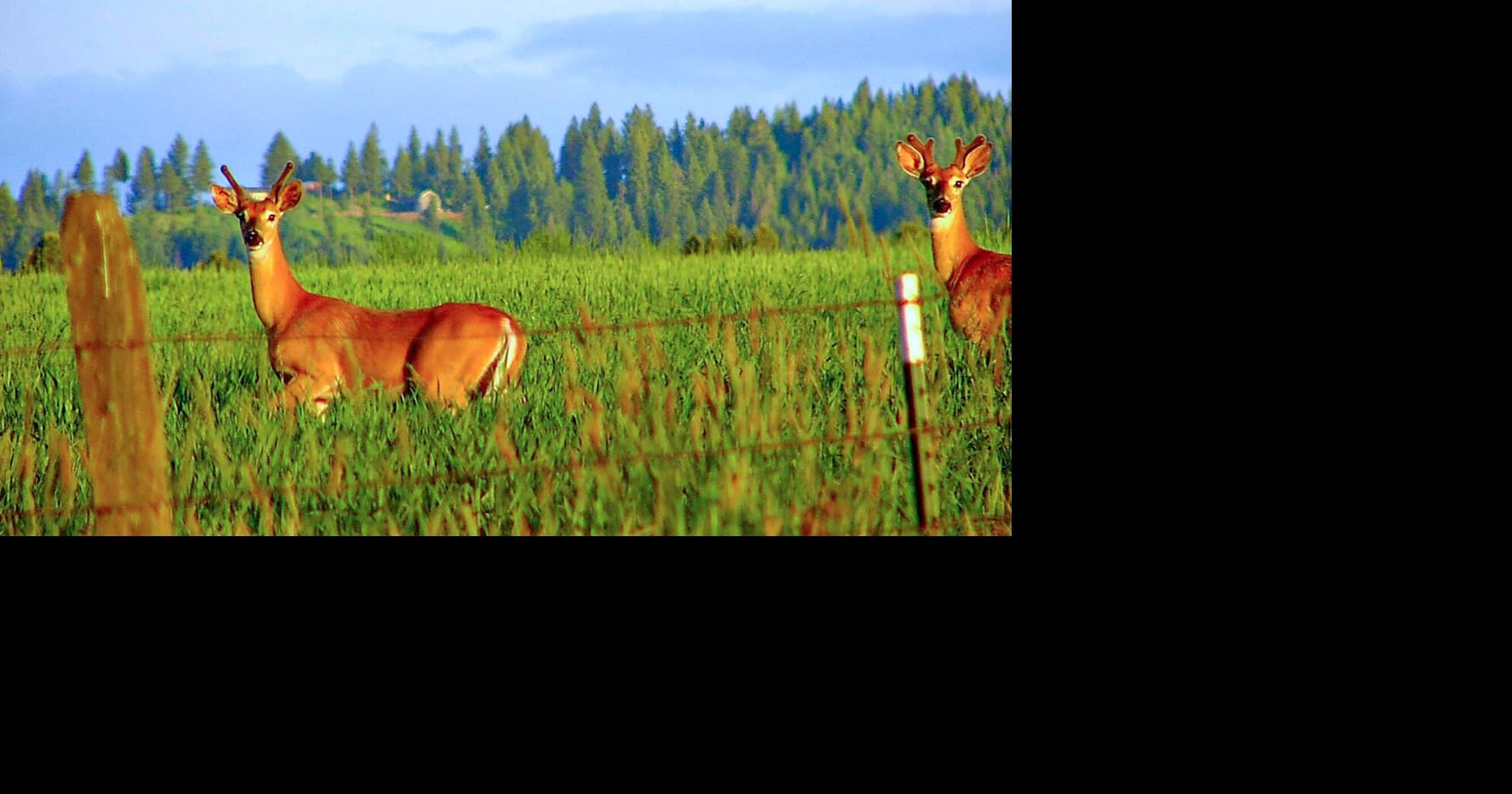NRCS announces application period for the Conservation Stewardship ...