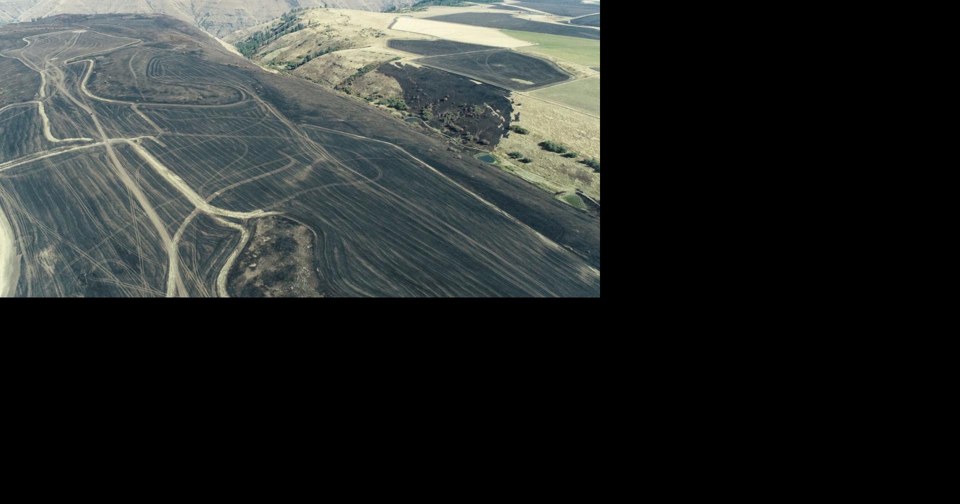 ‘Grateful for all the help’ on Wilkins fire | News ...