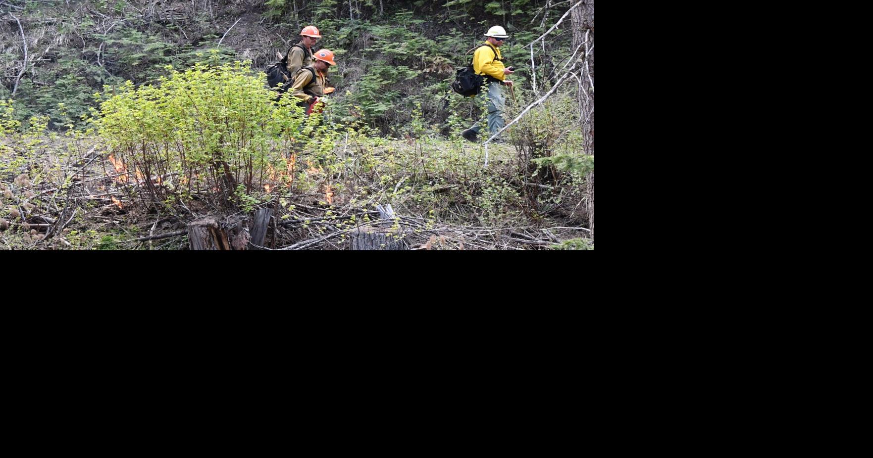 Spring prescribed burns in Nez Perce-Clearwater National Forests ...