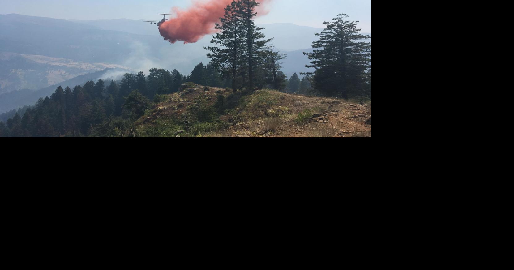 Rattlesnake Creek firefighters injured by burning snag | News ...