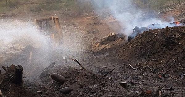 Check logging slash piles for heat reminds IDL | News ...