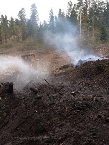 Check logging slash piles for heat reminds IDL | News ...