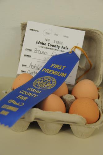 Idaho County Fair 2020 gallery | Special Sections ...
