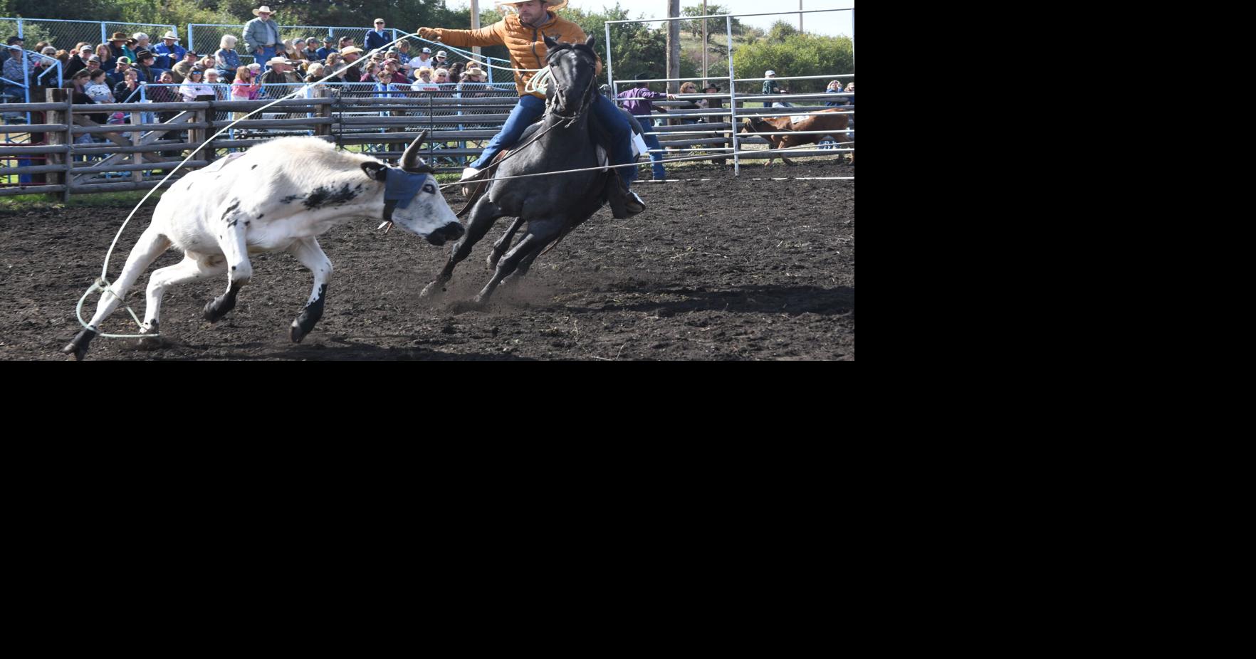 Two Bar V Livestock Ranch Rodeo, Cottonwood, Sept 23 | Sports ...