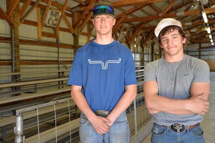 Ag students put hours of work into county fair pig barn ...