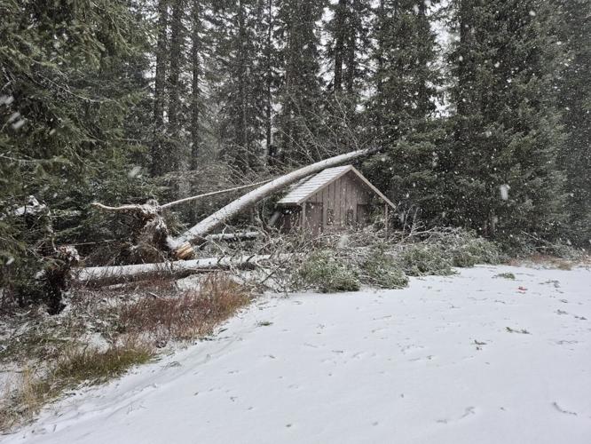 Rare weather setup brings powerful windstorm | News ...