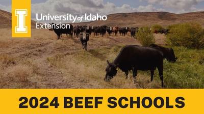 Beef schools scheduled for January | Community | idahocountyfreepress.com