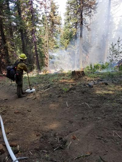 Rattlesnake Creek Fire tops 40 percent containment despite Aug. 3 spot ...