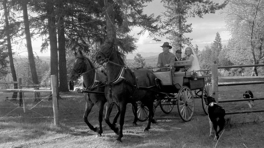 Clearwater Valley News: Couple marries at Harpster area ranch ...