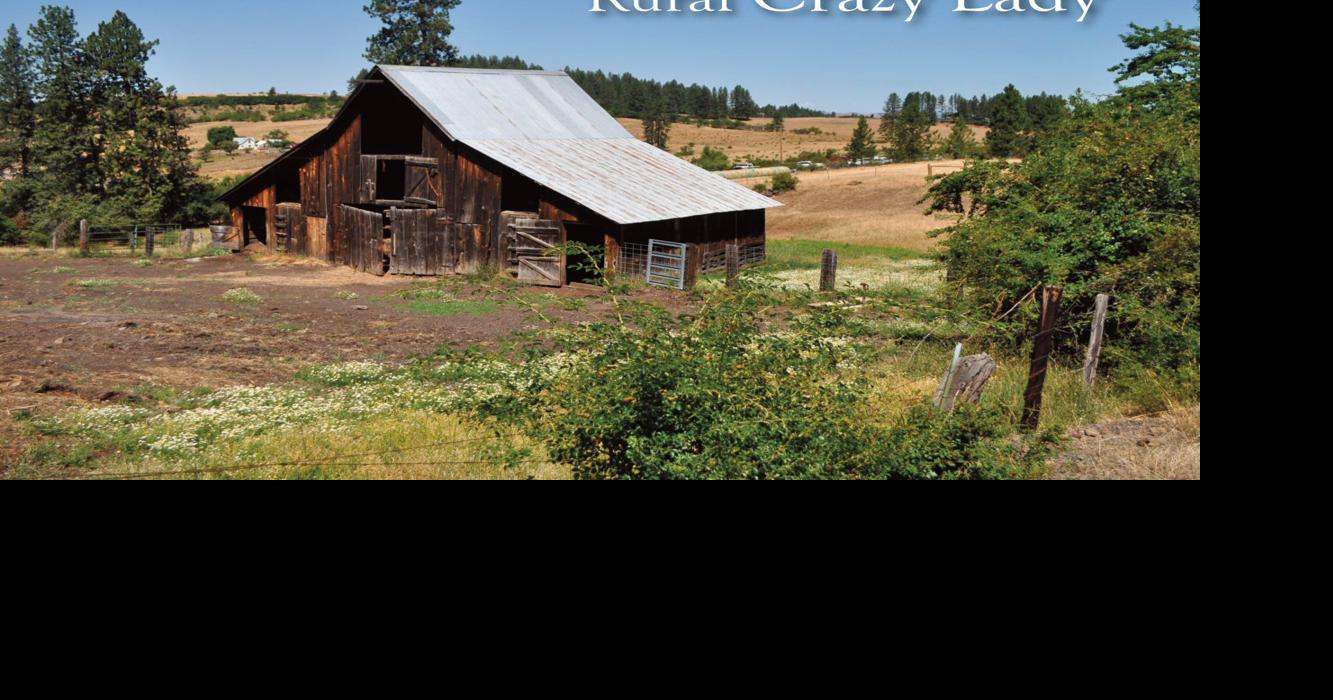 Diary of a Rural Crazy Lady: Depressed? Go dig a hole! | Community ...