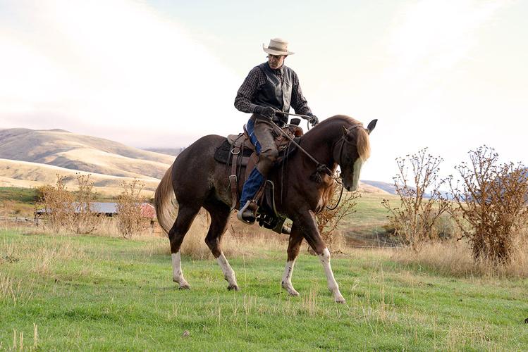 Tim McNamee: Riding home on a loose rein | Farm-and-ranch ...