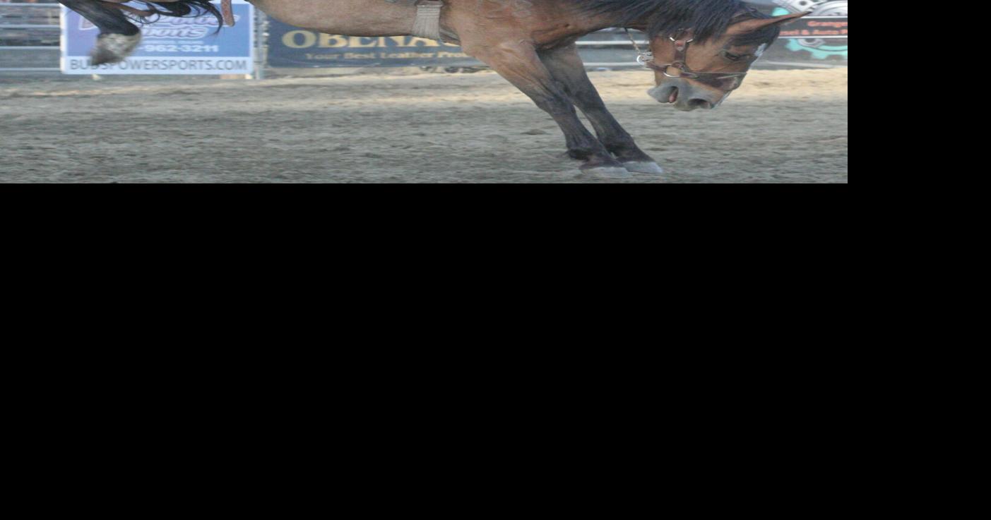 2025 Border Days Rodeo results | Sports | idahocountyfreepress.com