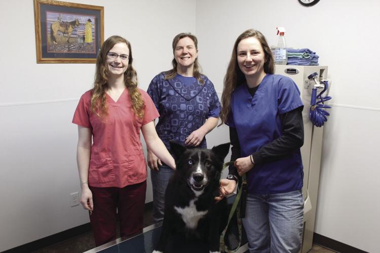 Ferdinand Veterinary Clinic, LLC | Get-acquainted ...