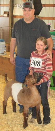 Idaho County 4-H/FFA Livestock Sale | Community | idahocountyfreepress.com