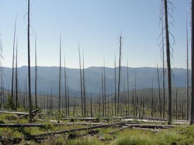 Elk City News: Visit Magruder Corridor | Community ...