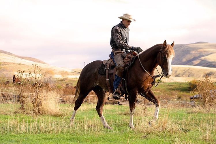 Tim McNamee: Riding home on a loose rein | Farm-and-ranch ...
