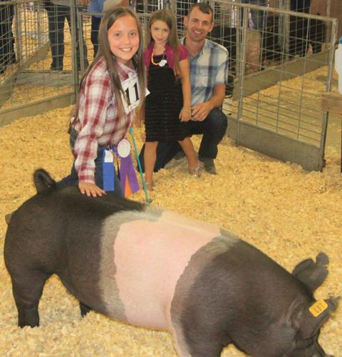Idaho County 4-H/FFA Livestock Sale | Community | idahocountyfreepress.com