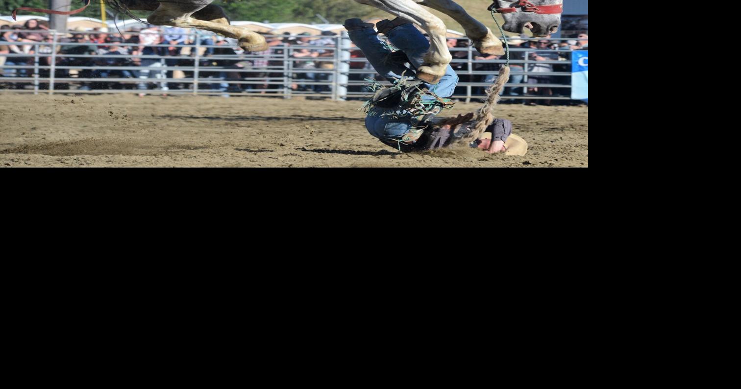 Horses Hit Hard At Border Days Rodeo | Sports | idahocountyfreepress.com