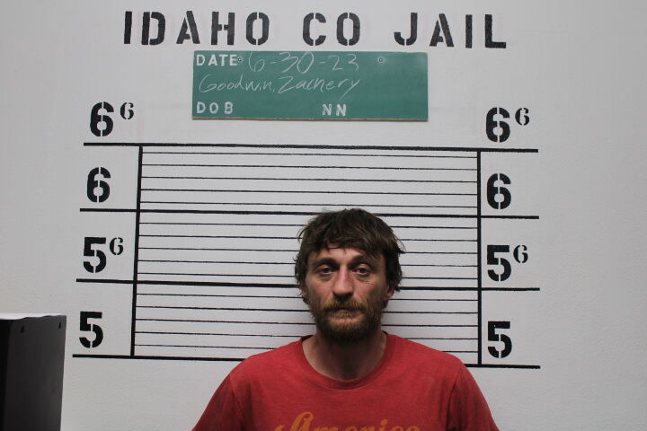 Crime Briefs: | News | idahocountyfreepress.com