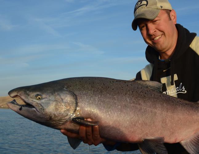 Fall chinook runs booming, but overlooked | News | idahocountyfreepress.com