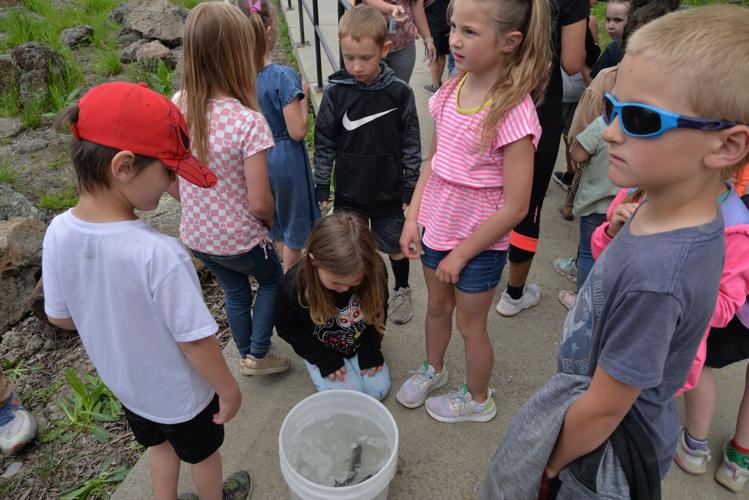 Tolo Lake: GEMS students experience ‘fish drop’ as local water is ...