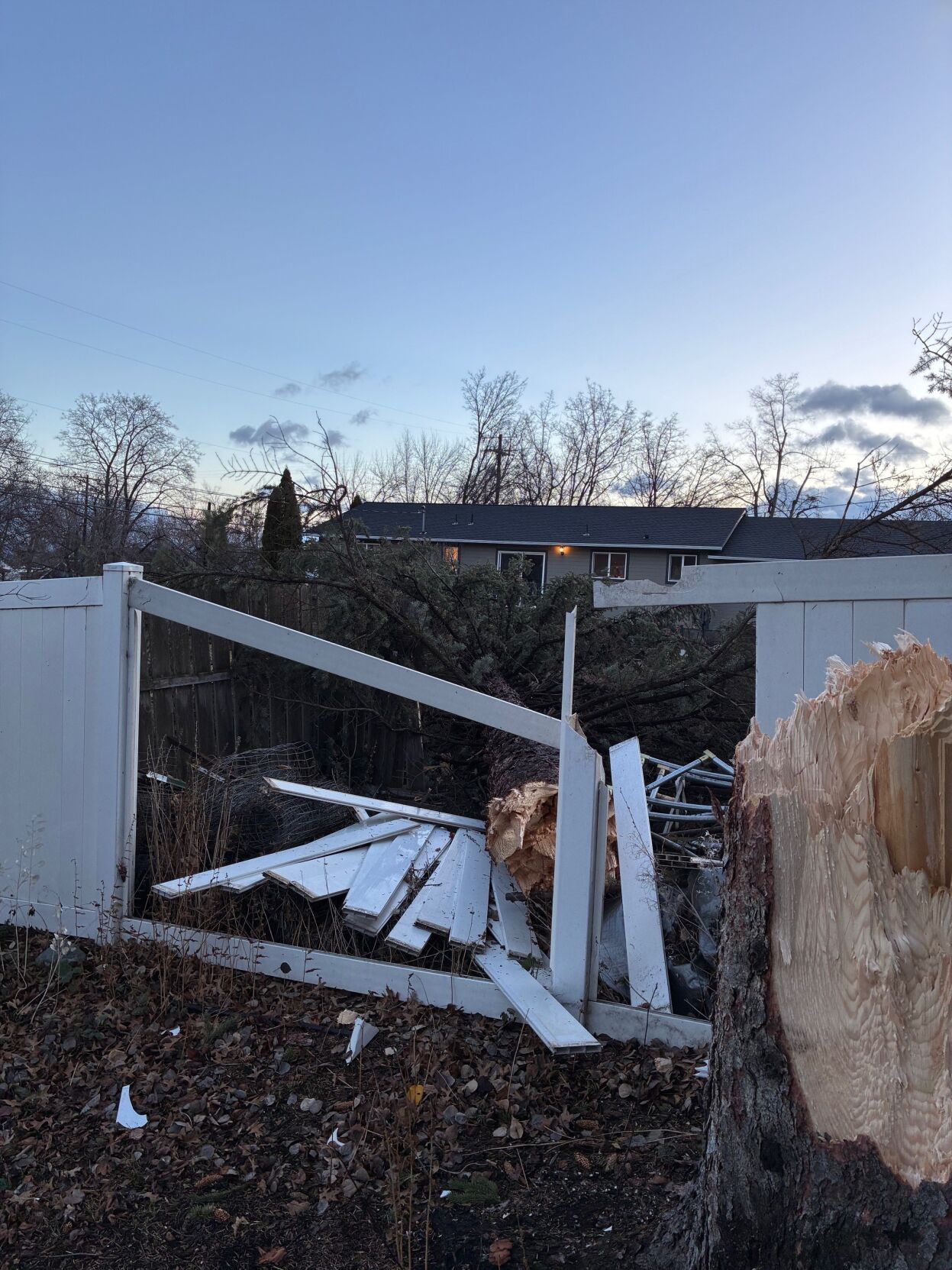 Rare weather setup brings powerful windstorm | News ...
