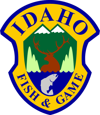 Comments on sage-grouse counts, tags sought; due July 5 | Outdoors ...