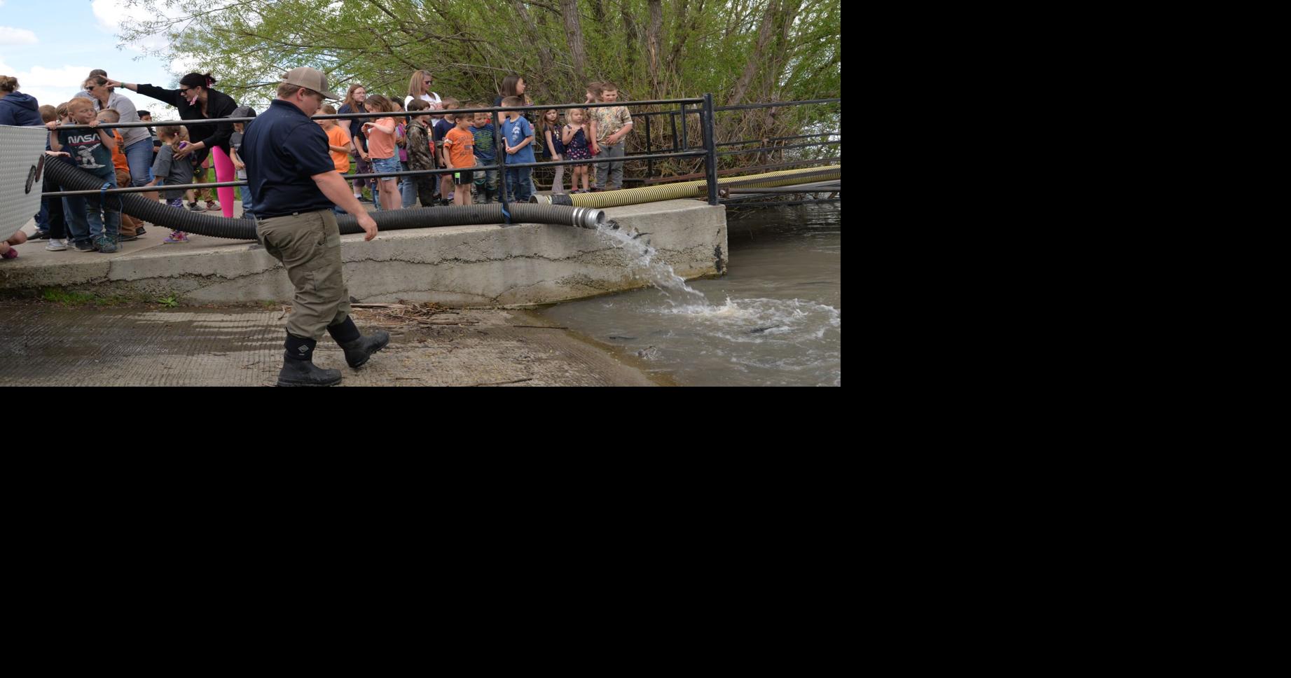 Tolo Lake: GEMS students experience ‘fish drop’ as local water is ...