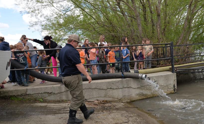 Tolo Lake: GEMS students experience ‘fish drop’ as local water is ...