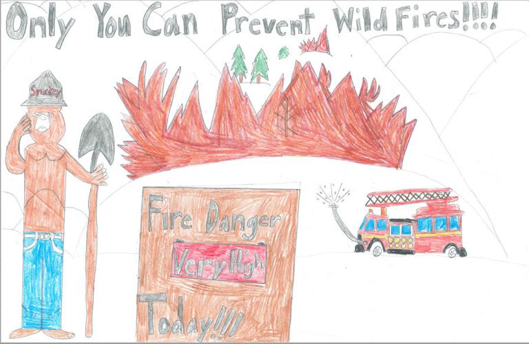 2019 USFS Fire Prevention billboard contest winners announced ...