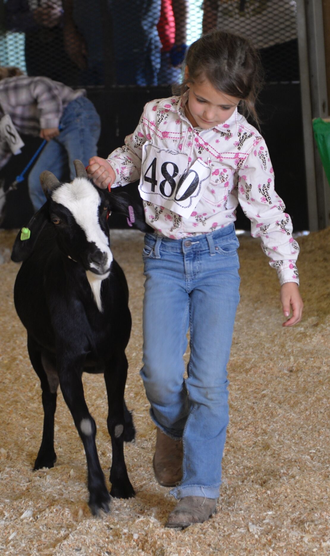 New sheep, goat barn will have 36 pens | | idahocountyfreepress.com