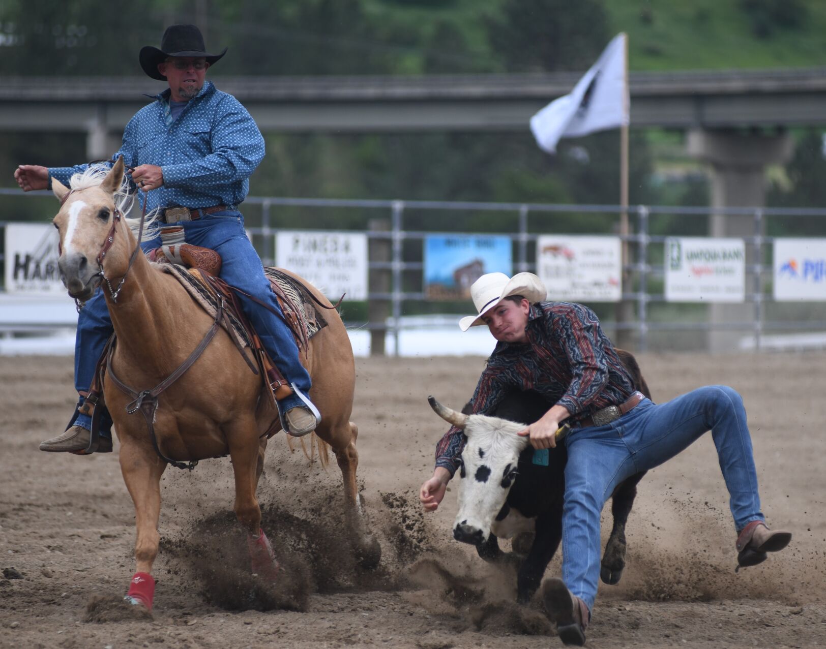 White Bird | idahocountyfreepress.com