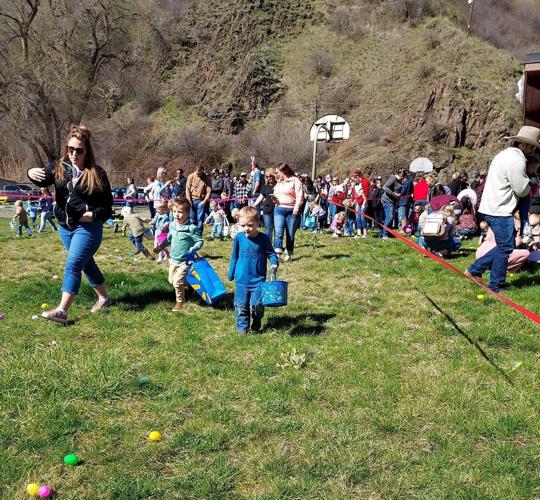 White Bird News: Bingo continues at the Silver Dollar Bar; wine tasting ...