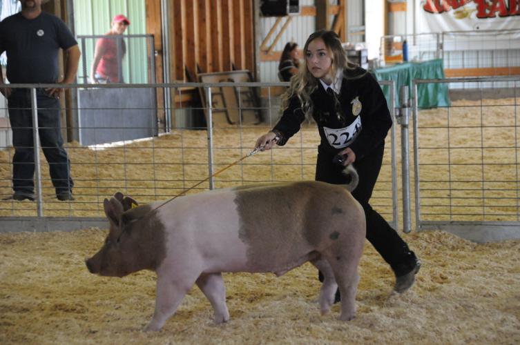 Idaho County Fair 2020 gallery | Special Sections ...
