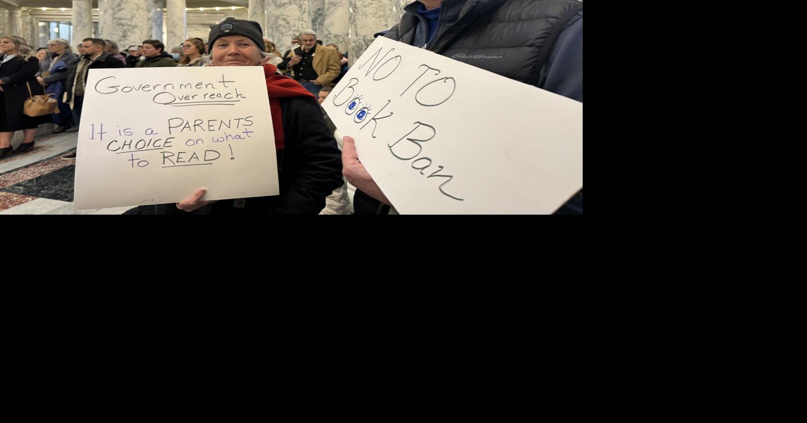 Bill restricting harmful material access to children stirs contention ...