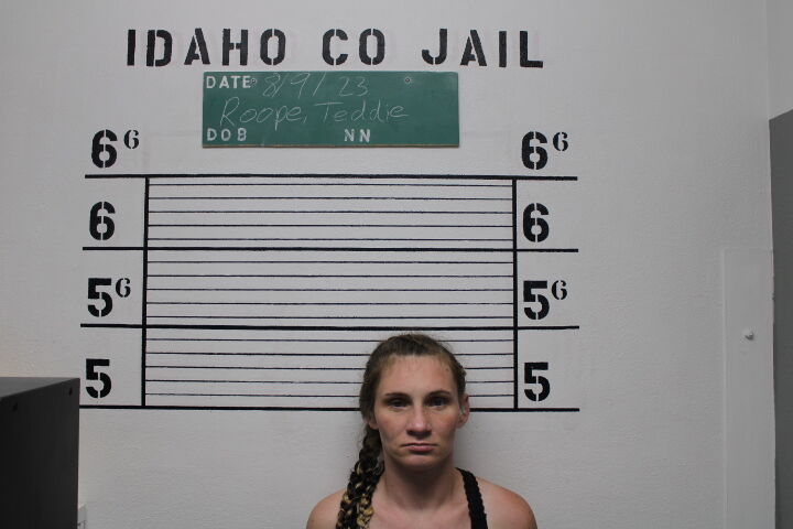 Crime Briefs: | Local News | idahocountyfreepress.com
