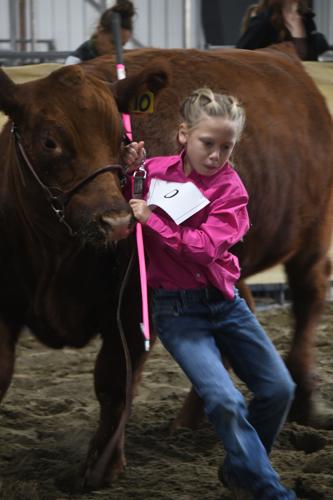 2025 Lewis County Fair, Sept. 25-28: results | News ...