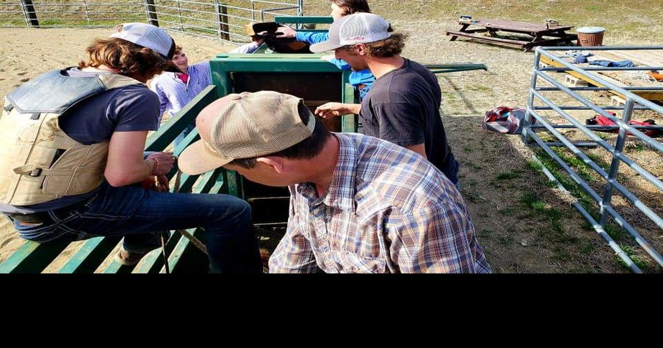 After an uncertain spring, organizers rev up another White Bird Rodeo ...