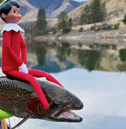 Elf on the Shelf - ‘Tree Huggers’ were precursors to today’s popular ...