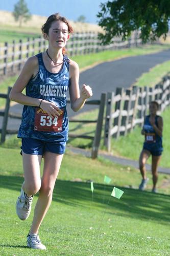 Sanchez paces Bulldog boys at season’s first meet | Sports ...
