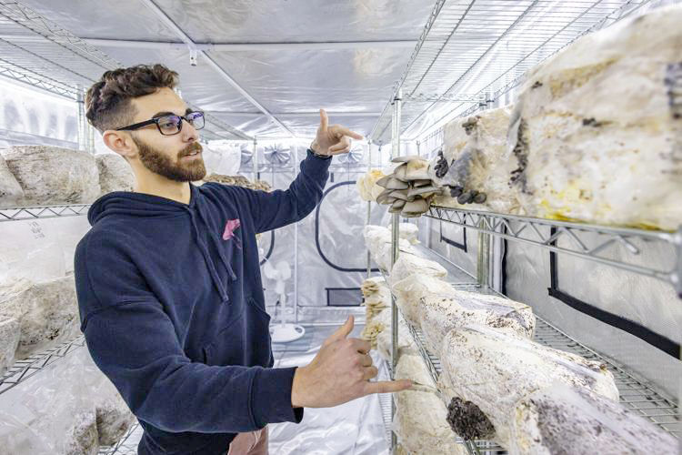 It's Your Business: Vopat runs Clarkston-based mycology business ...