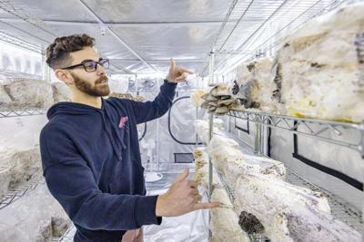 It's Your Business: Vopat runs Clarkston-based mycology business ...