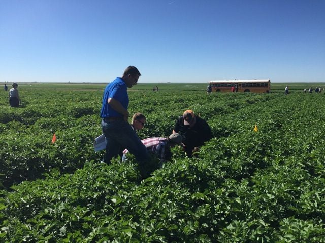 US: Research Station, Washington State Potato Commission share ...
