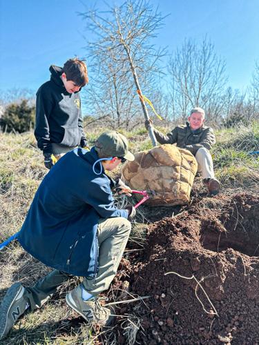 Scouts plant trees at Hector Henry Greenway