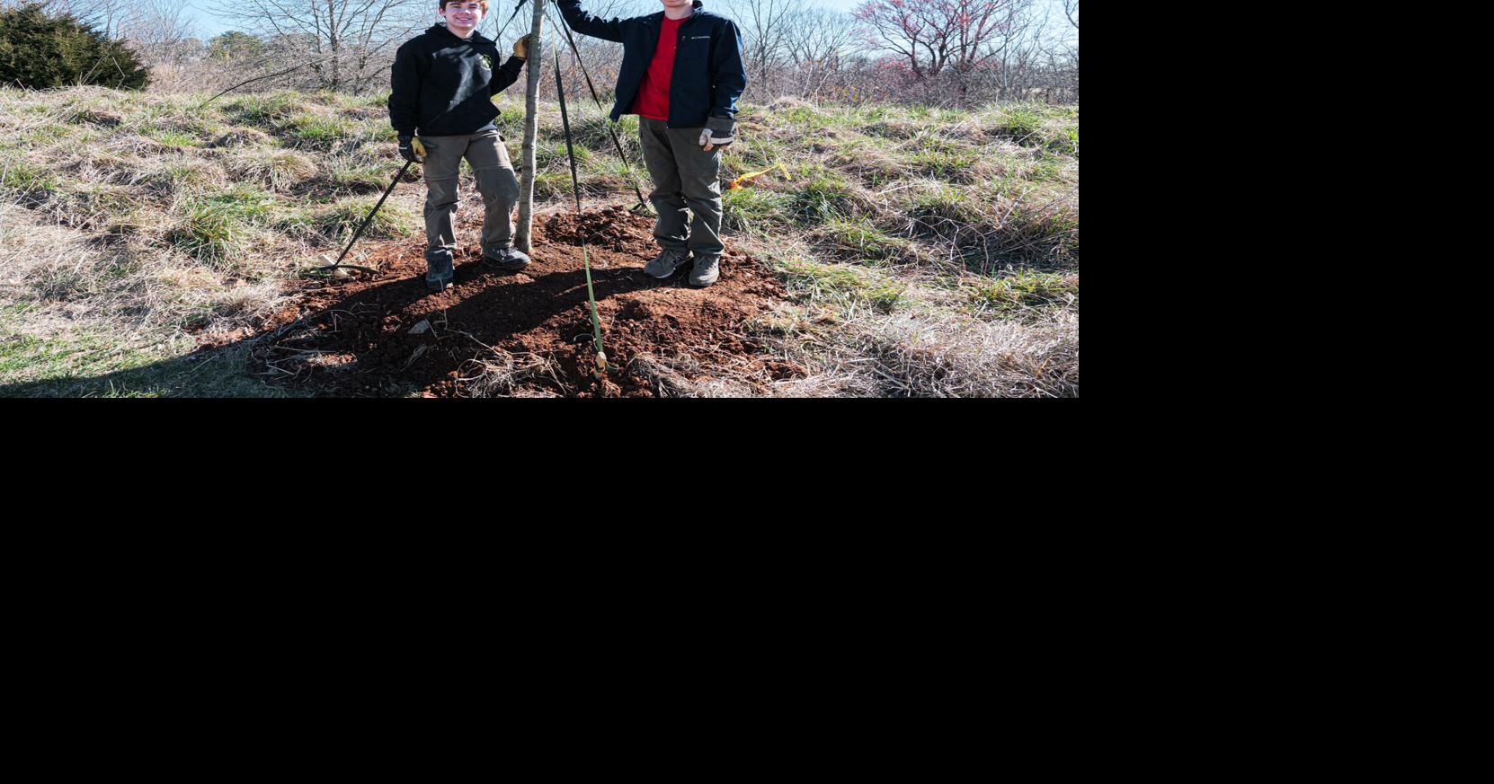 Scouts plant trees at Hector Henry Greenway