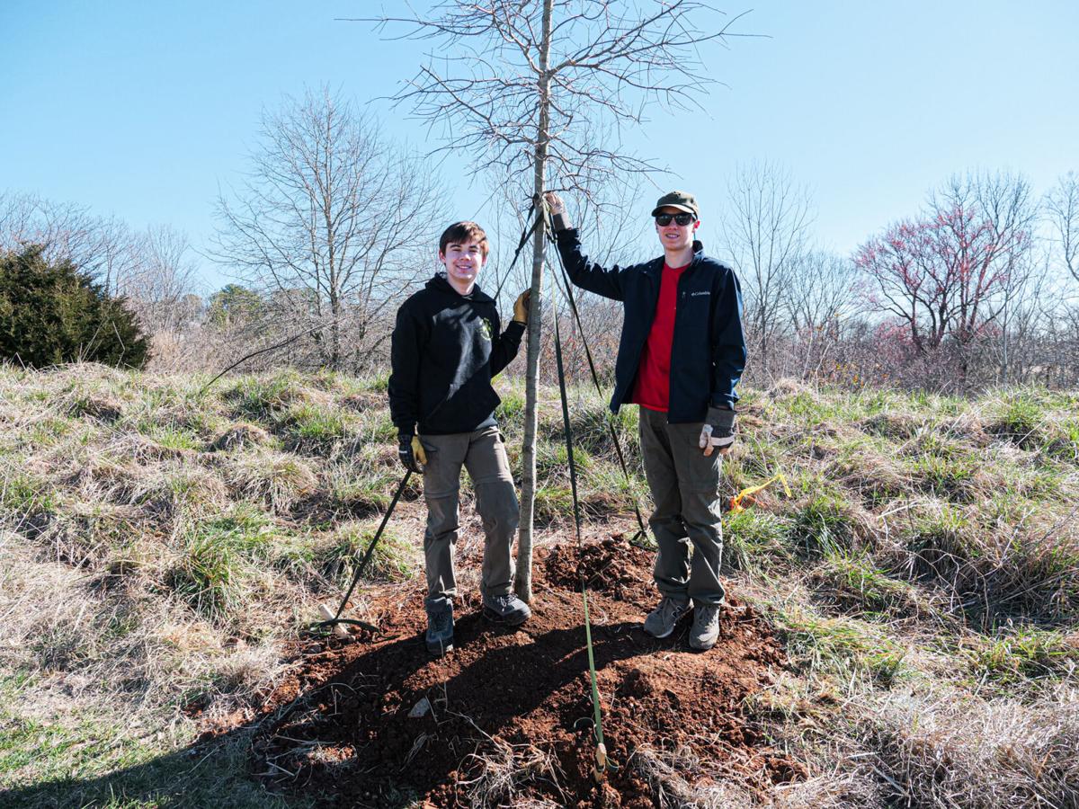 Scouts plant trees at Hector Henry Greenway